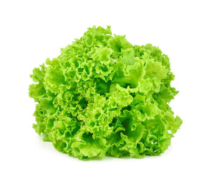 Salat, Batavia - Die Gemüsekiste